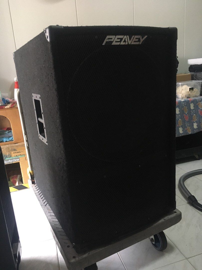 Peavey SP118X passive Sub, Hobbies & Toys, Music & Media, Music ...