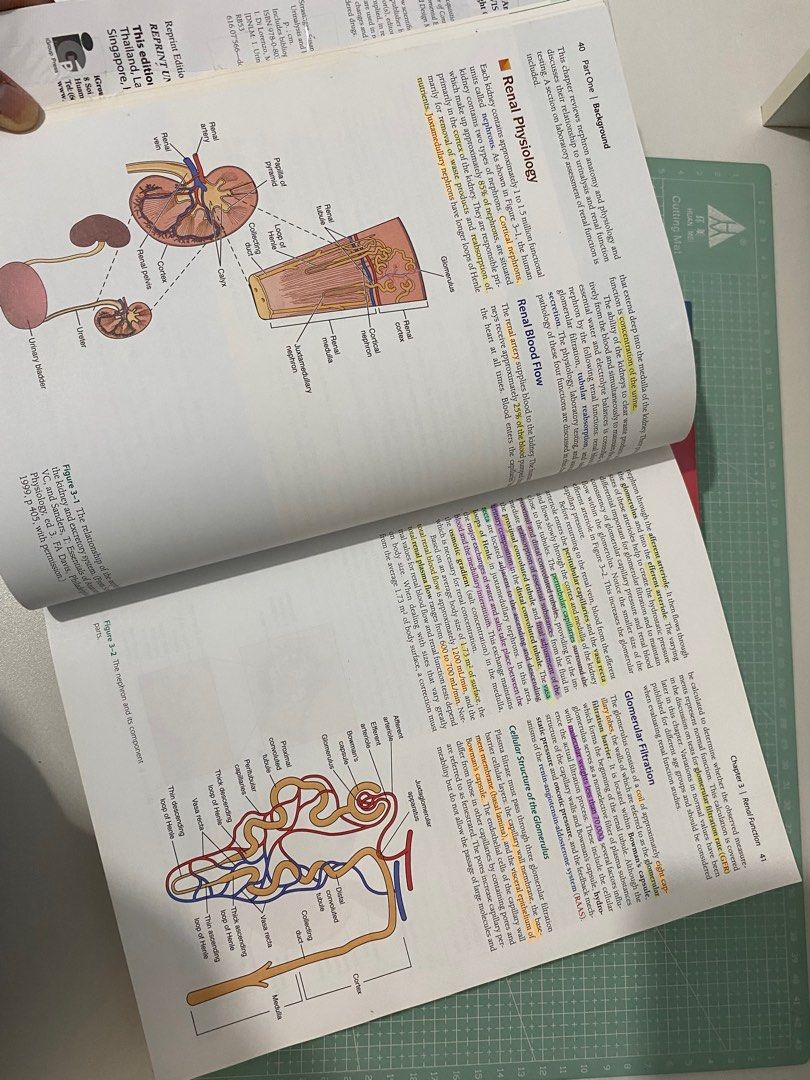 Urinalysis and Body Fluids 6th Ed by Strasinger, Hobbies & Toys, Books ...