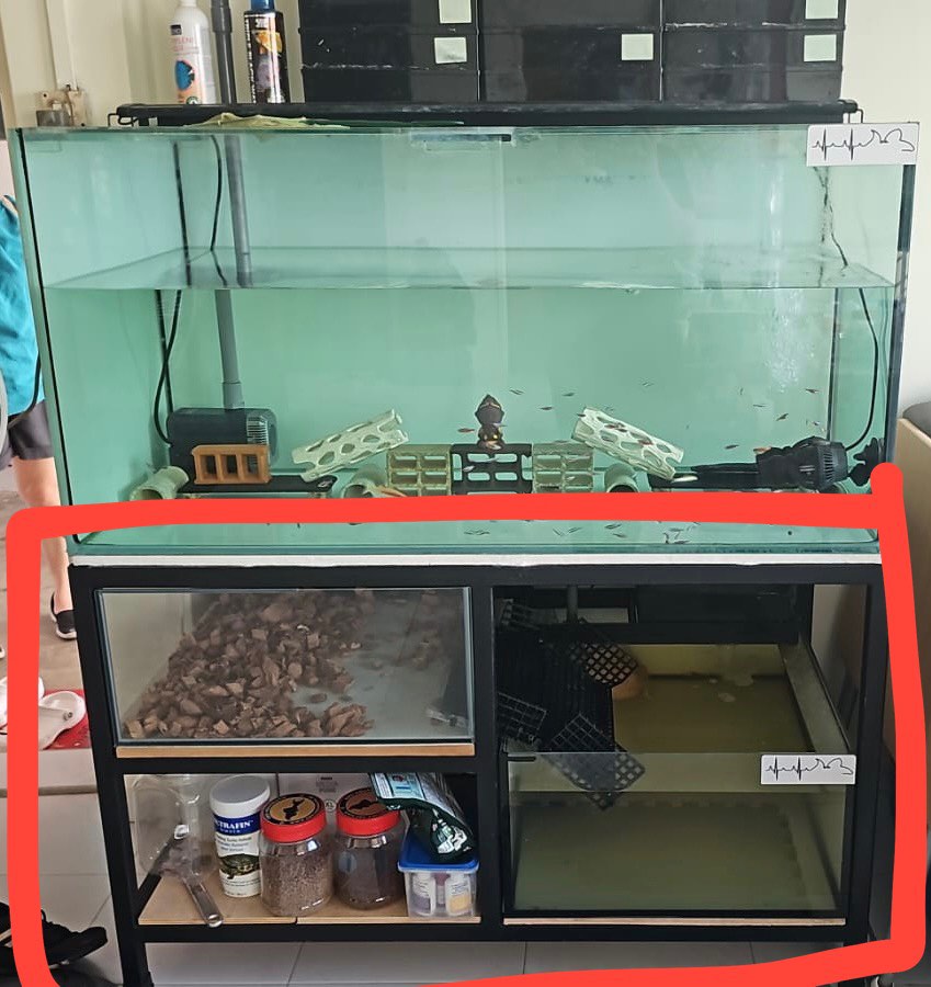 4ft Fish tank stand, Pet Supplies, Homes & Other Pet Accessories on ...