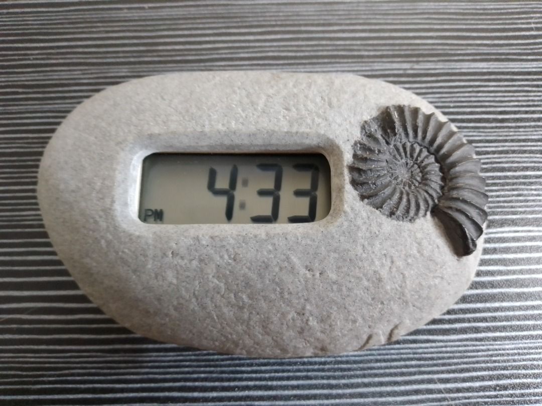 Ammonite Digital Clock, Hobbies & Toys, Memorabilia & Collectibles, Fan ...