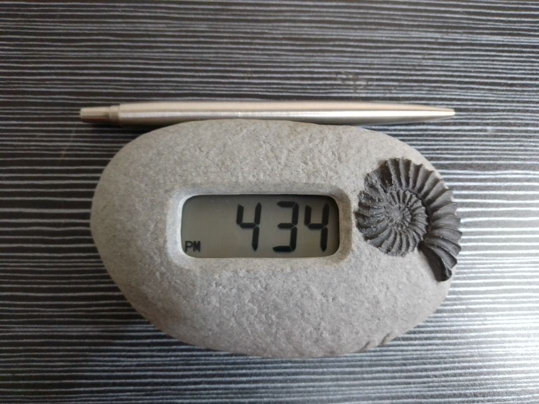 Ammonite Digital Clock, Hobbies & Toys, Memorabilia & Collectibles, Fan ...