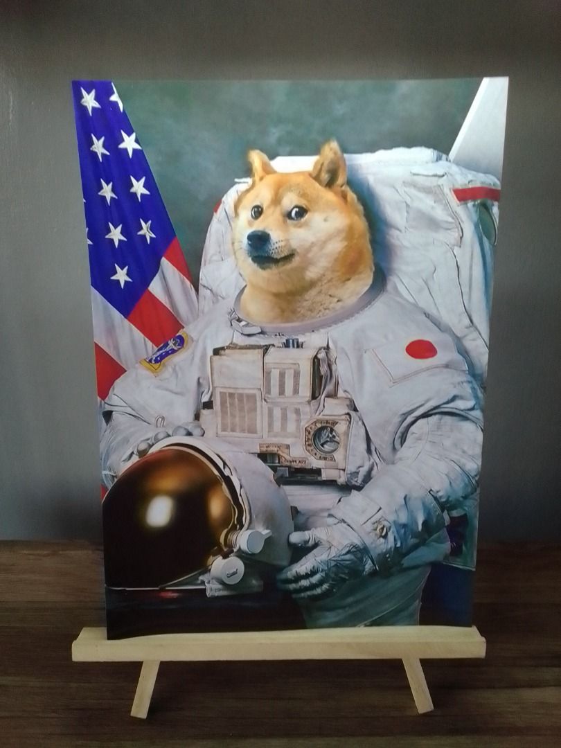 ASTRONAUT DOGE DECORATIVE ART PRINT, Hobbies & Toys, Stationary & Craft ...