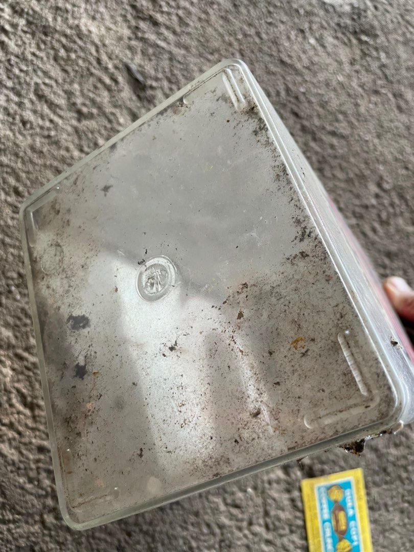 Bekas gula2 take 2, Hobbies & Toys, Collectibles & Memorabilia, Vintage ...