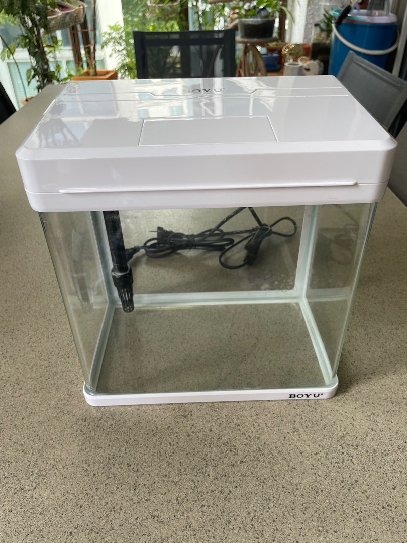 Boyu Fish Tank, Pet Supplies, Homes & Other Pet Accessories on Carousell