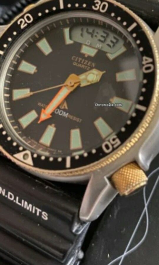 Classic Citizen Promaster Aqualand bezel, Men's Fashion, Watches ...