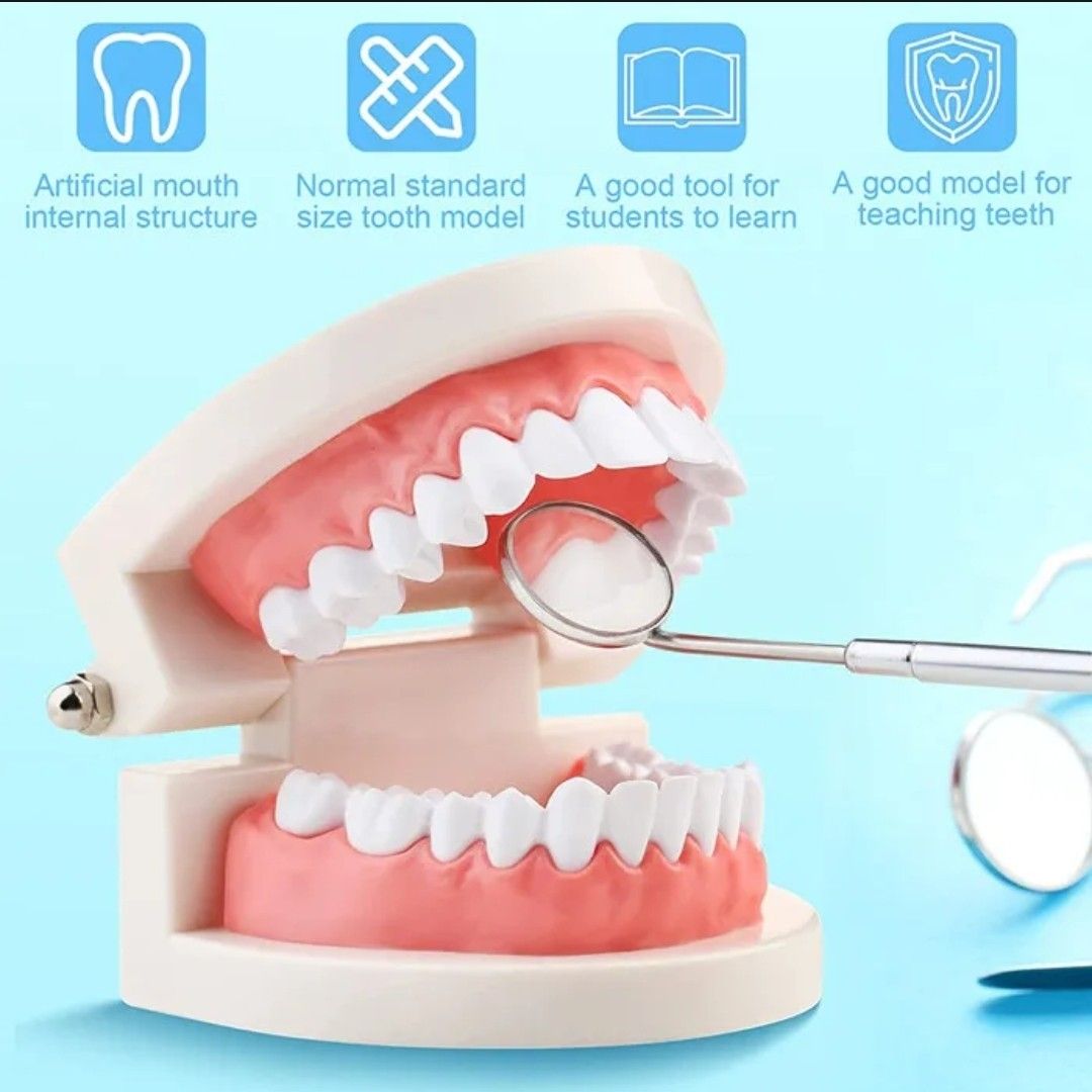 Dental Teeth Fake Dentures Mouth, Beauty & Personal Care, Oral Care on ...