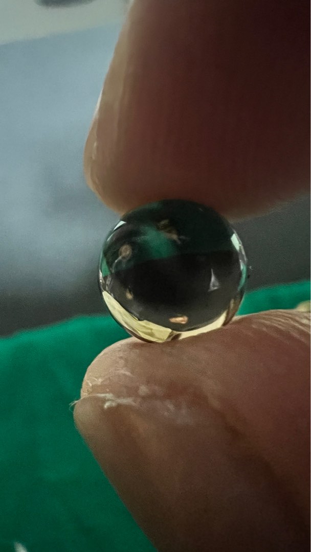 Geliga ular tedung hitam, Hobbies & Toys, Collectibles & Memorabilia ...