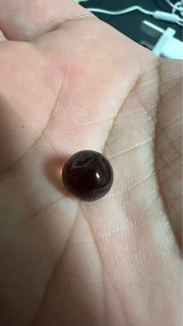 Geliga ular tedung hitam, Hobbies & Toys, Collectibles & Memorabilia ...