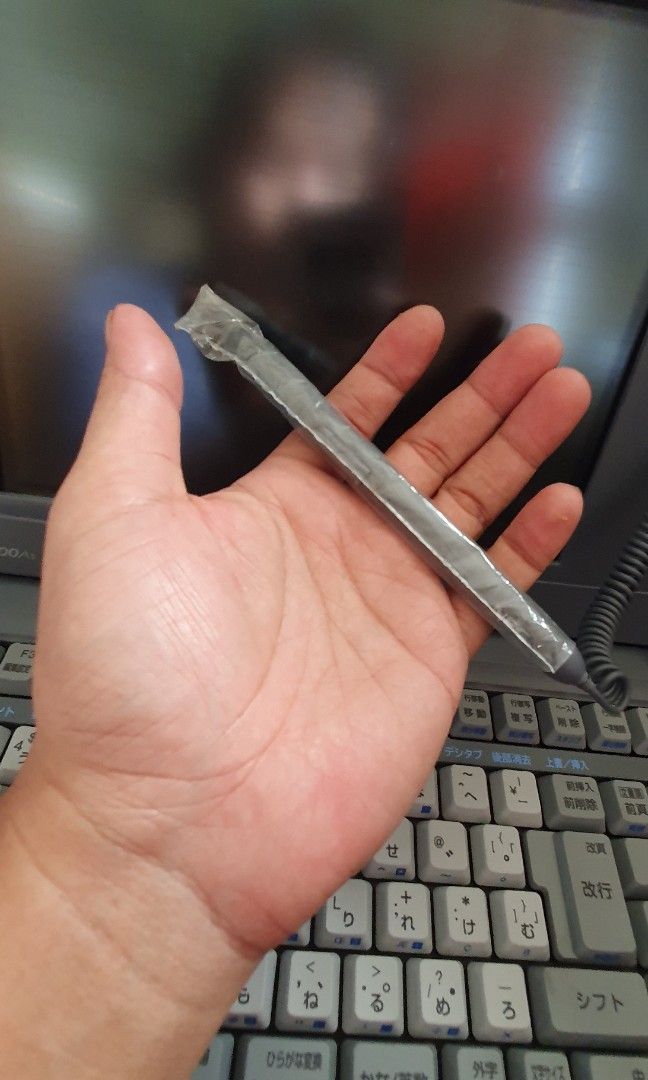 NEC 1995 Model Working Japan, Computers & Tech, Laptops & Notebooks on ...