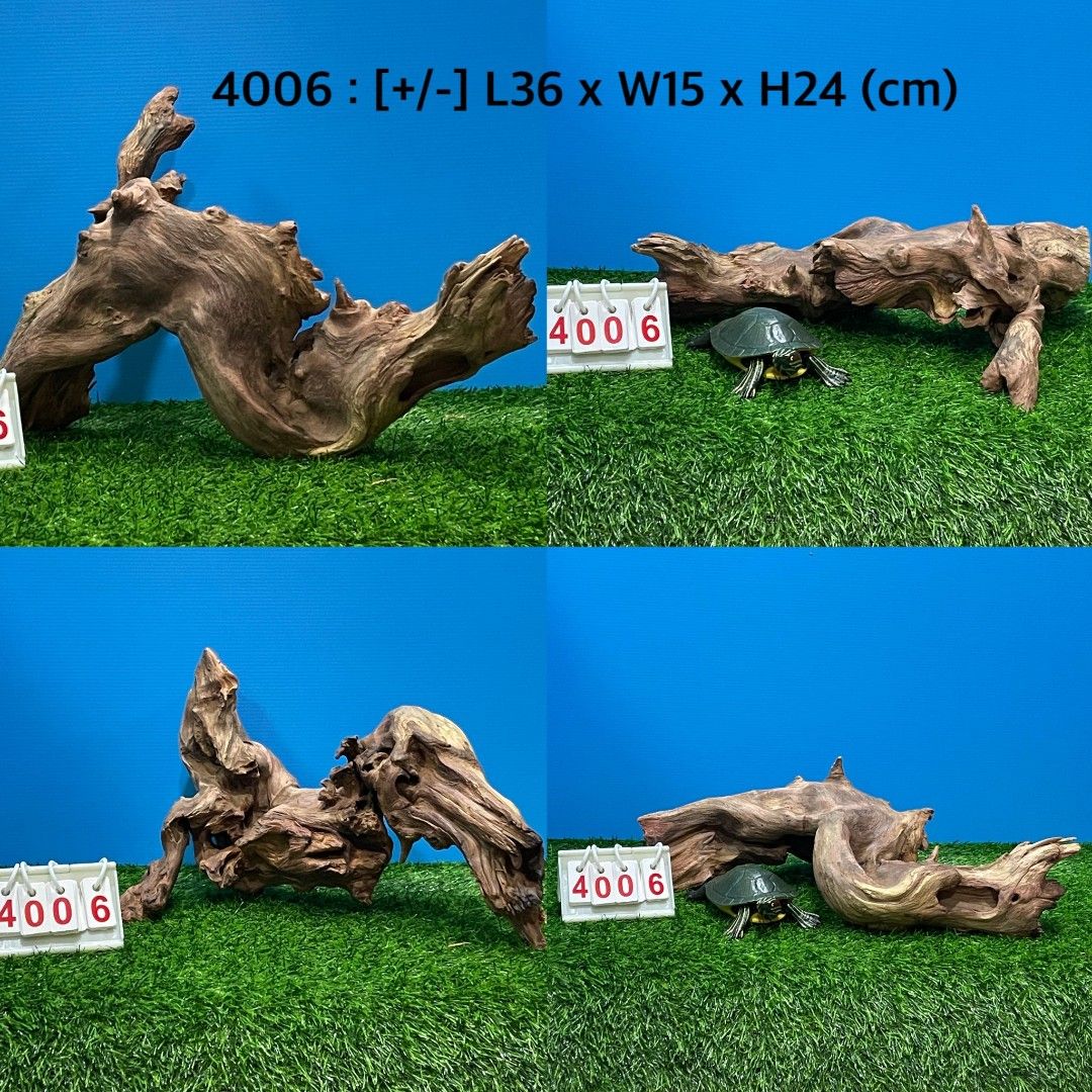 Premium Teak Driftwood Bridge design 1 for Aquarium Aquascaping, Pet ...