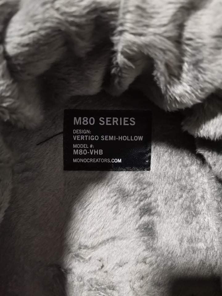 Samick Greg Bennett Semi Hollow Guitar with Mono Vertigo Gigbag ...