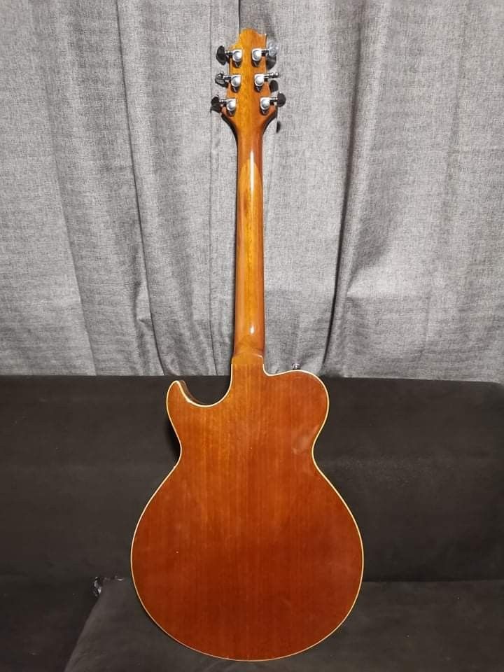 Samick Greg Bennett Semi Hollow Guitar with Mono Vertigo Gigbag ...