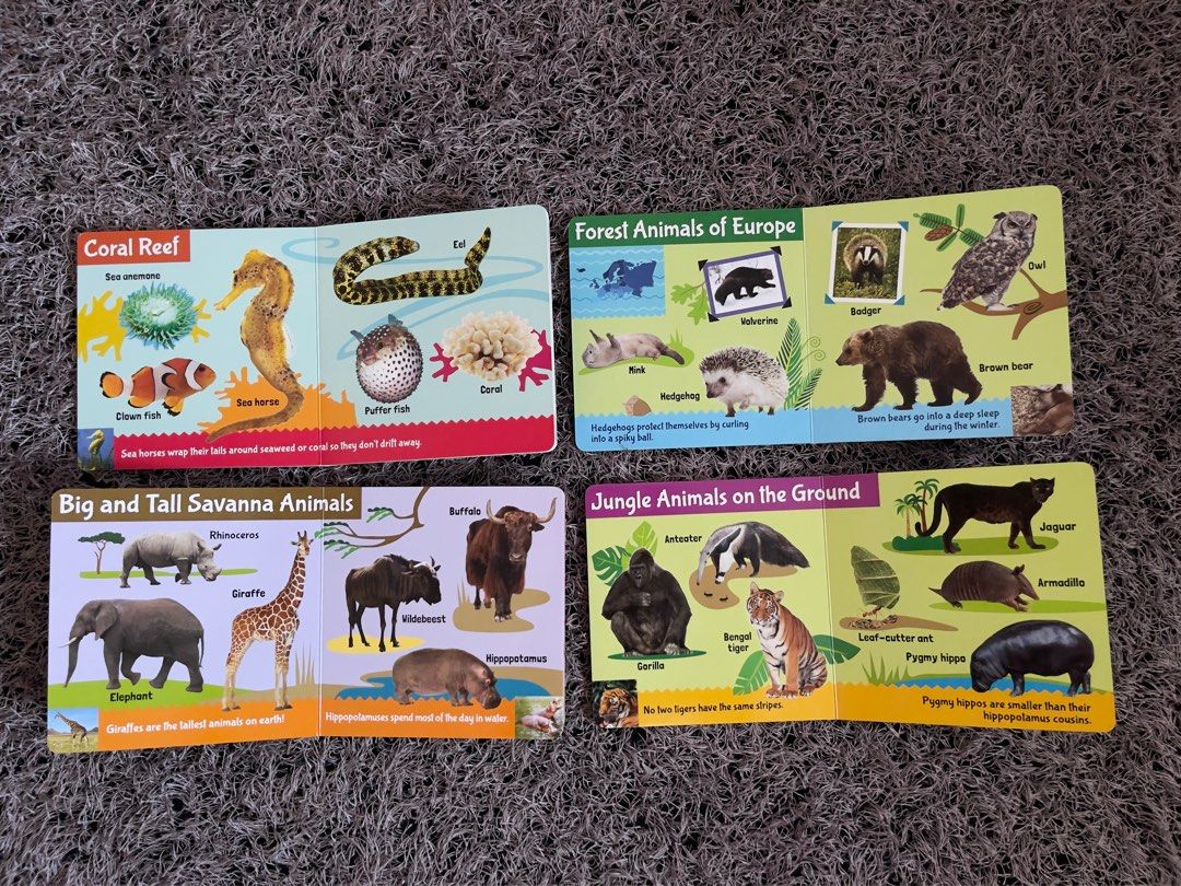 The forest, The ocean, The jungle, The savanna, Hobbies & Toys, Books ...