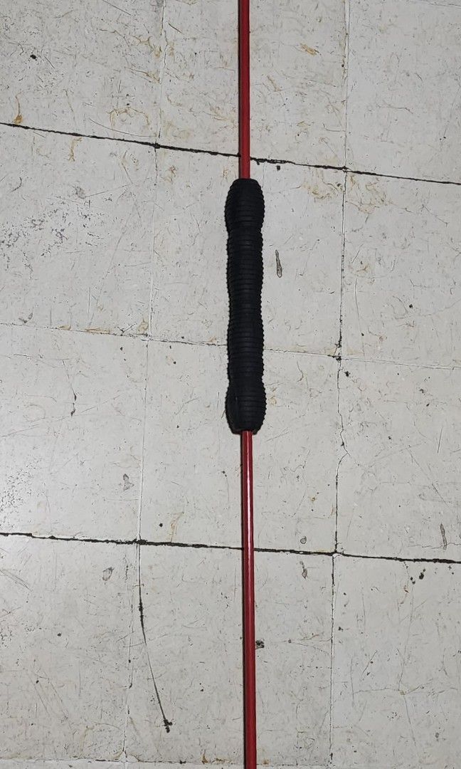 Training Shaking Stick, Sports Equipment, Exercise & Fitness, Cardio ...