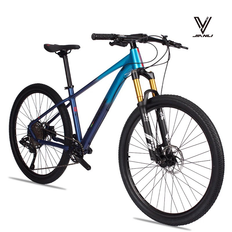V Twin Mountain Bikes, Sports Equipment, Bicycles & Parts, Bicycles on ...