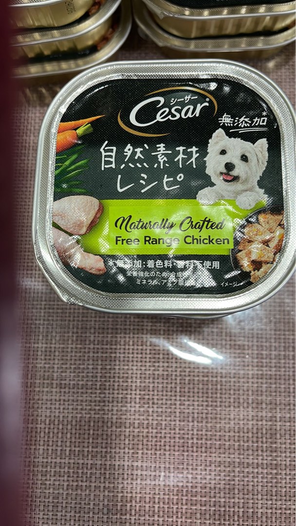 Cesar canned food, Pet Supplies, Pet Food on Carousell