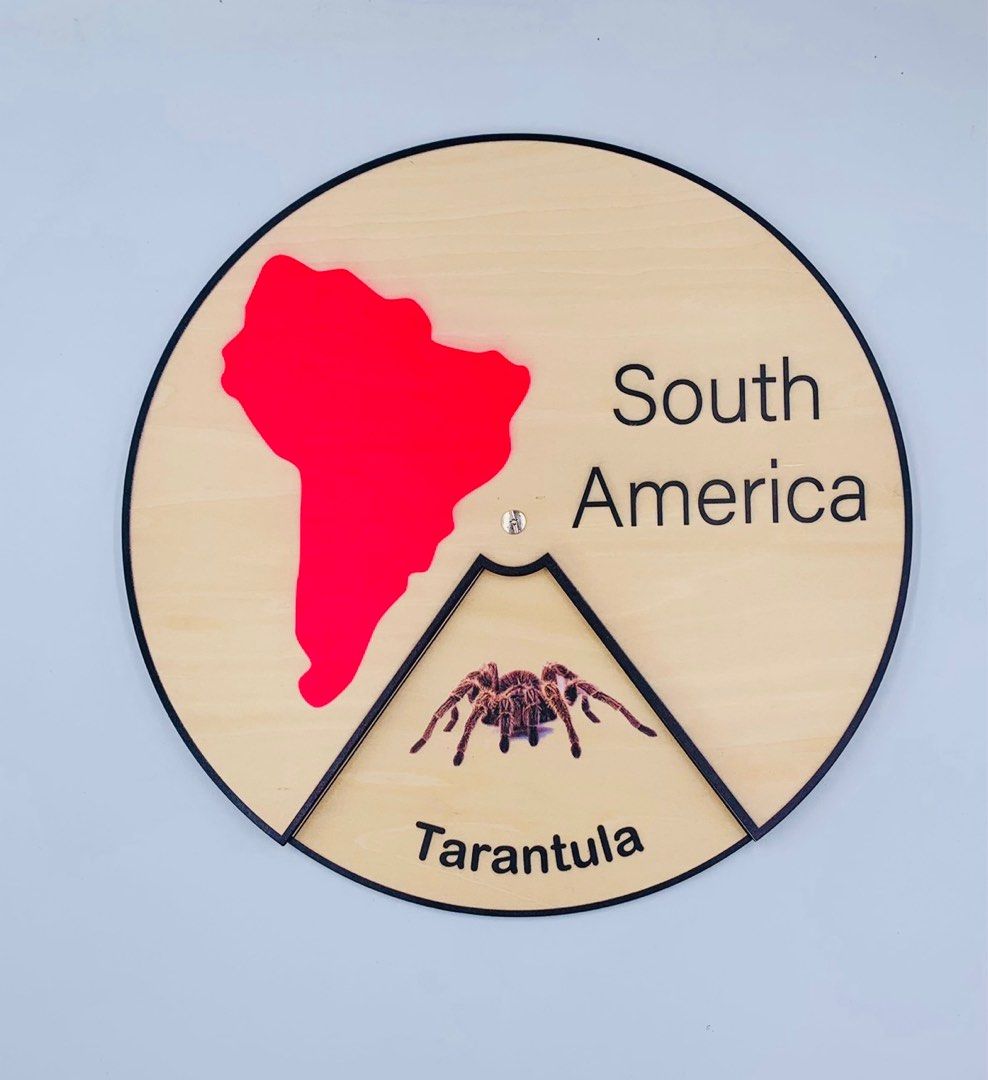 Continents animals spinner, Hobbies & Toys, Toys & Games on Carousell