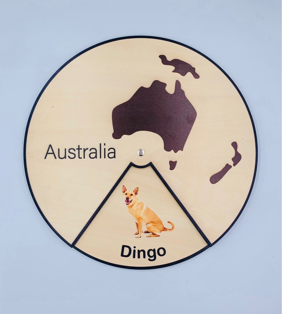 Continents animals spinner, Hobbies & Toys, Toys & Games on Carousell