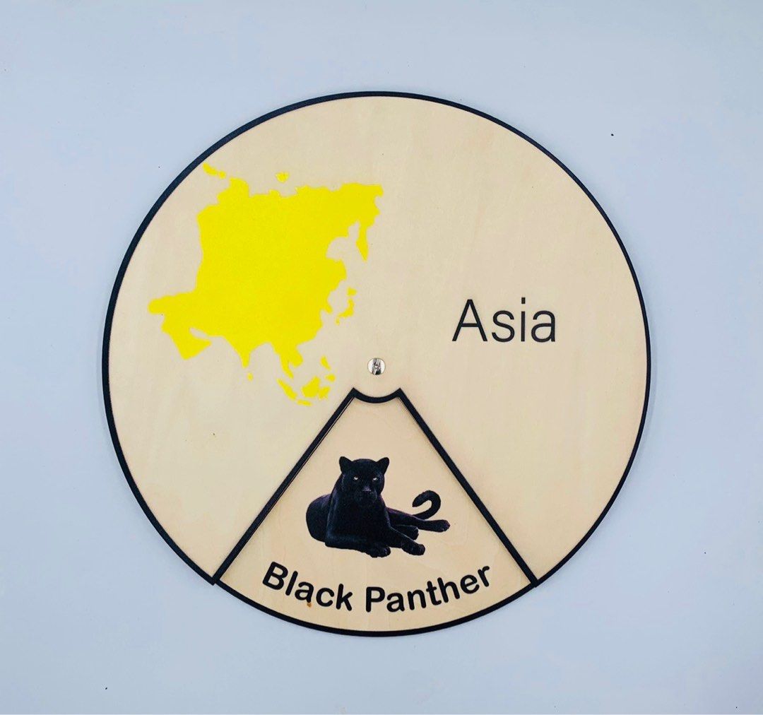 Continents animals spinner, Hobbies & Toys, Toys & Games on Carousell