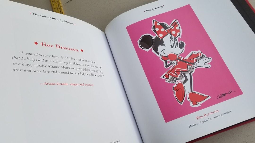 Disney Princesses and Minnie Mouse artbook, Hobbies & Toys, Memorabilia ...