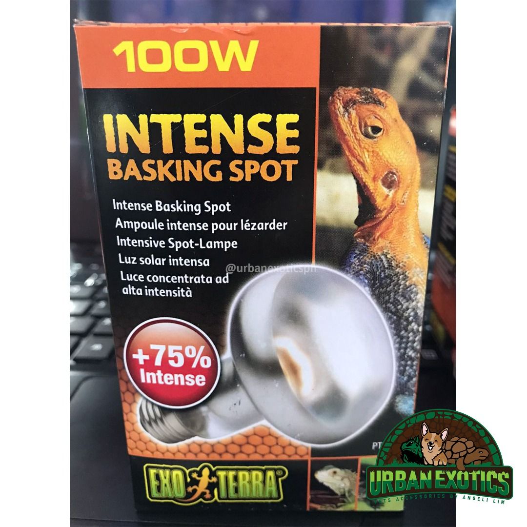 Exo Terra Intense Basking Spotlight Bulb 100W PT2138 on Carousell
