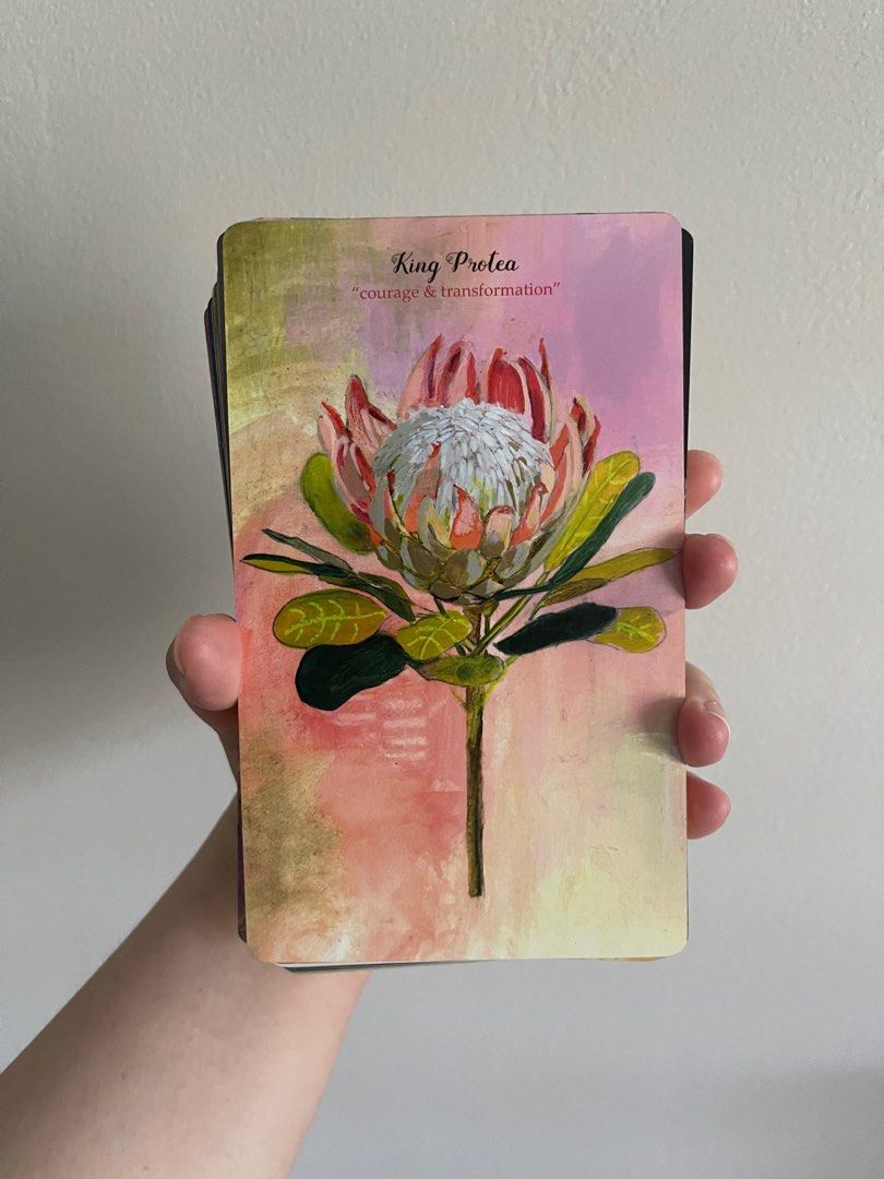 Flower Medicine Oracle Deck, Hobbies & Toys, Toys & Games on Carousell