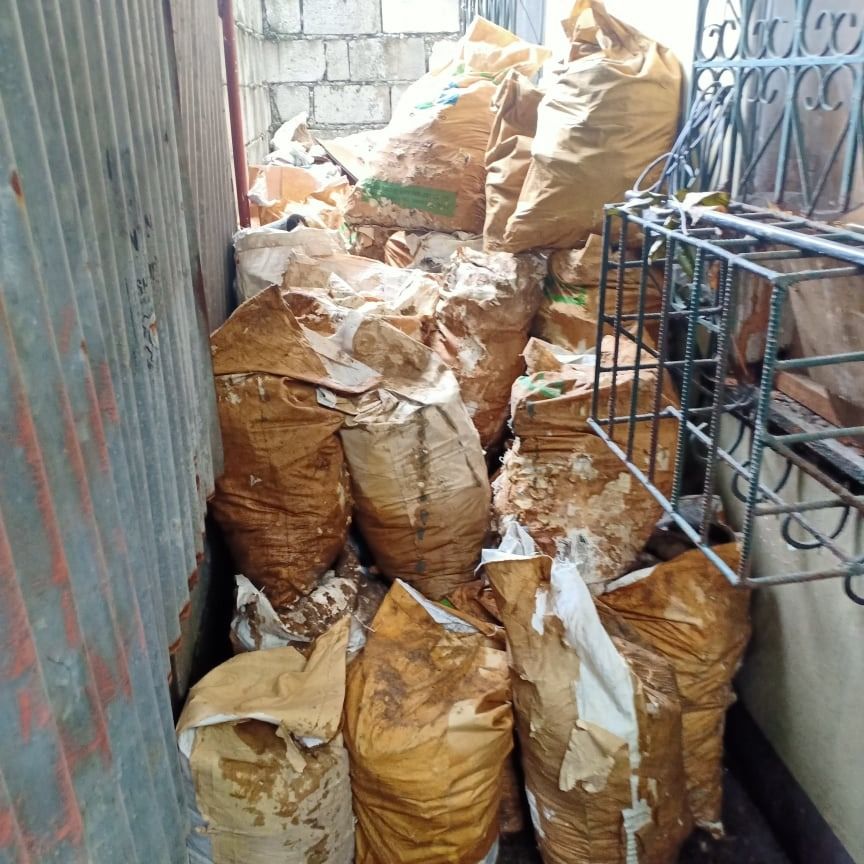 FREE PANAMBAK, Free Items on Carousell