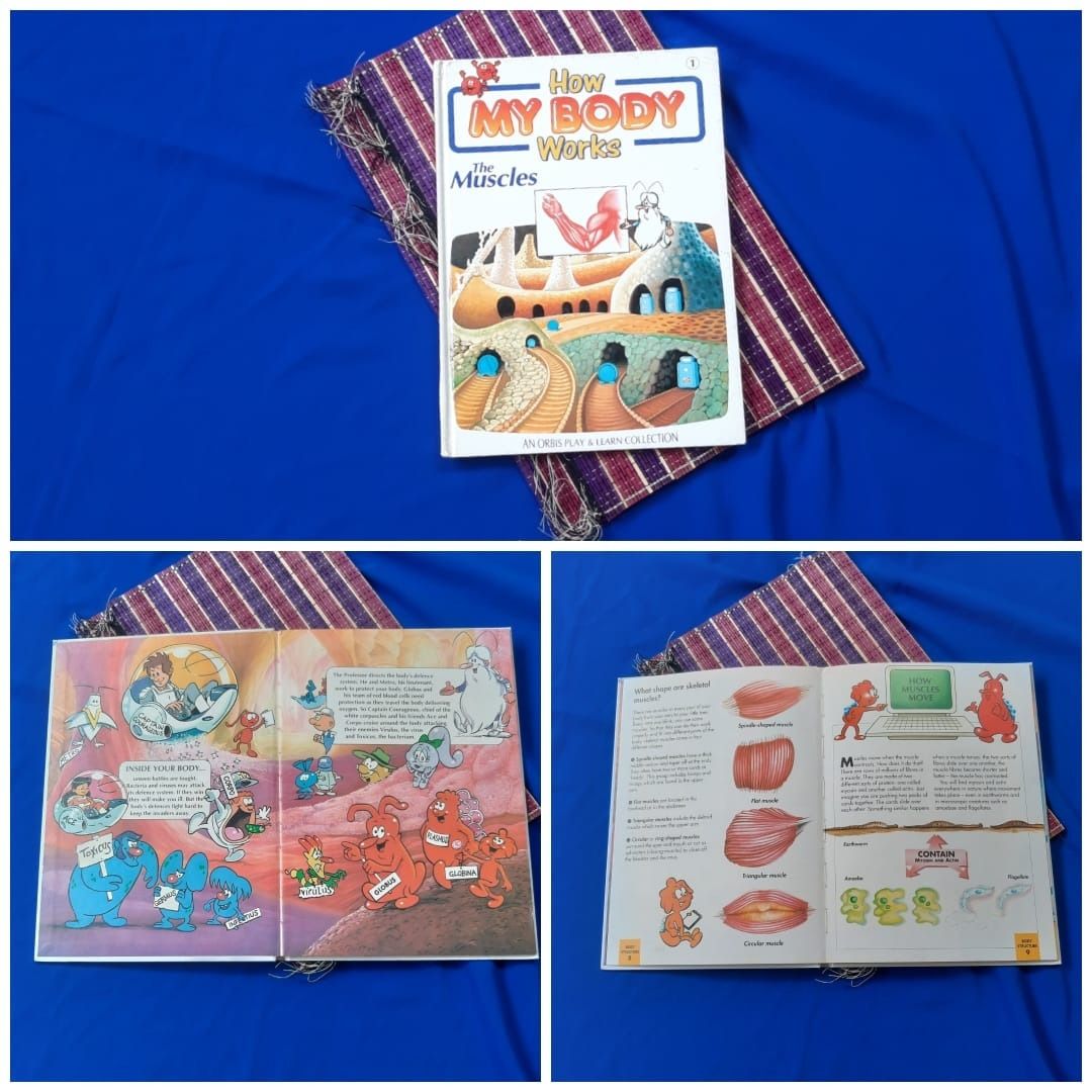 How My Body Works The Muscles Bahasa Inggris Buku anak HC, Buku & Alat ...
