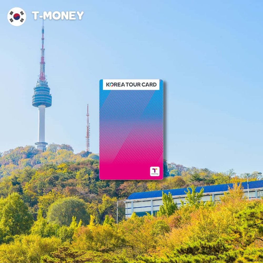 Korea T money card, Hobbies & Toys, Travel, Travel Essentials ...