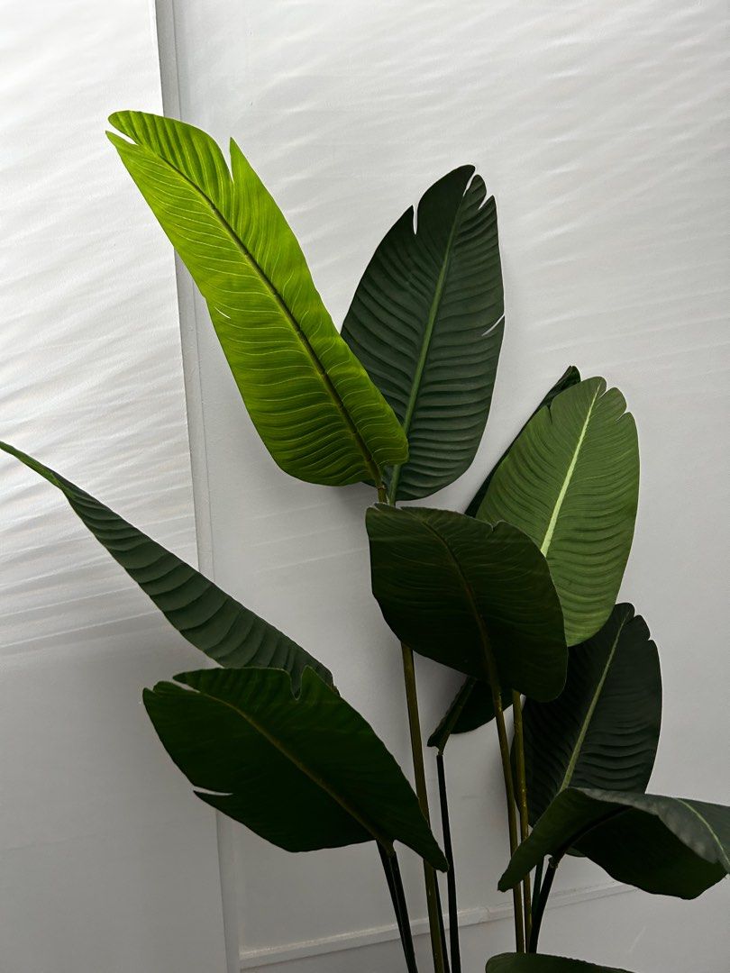 Plastic plants Banana Leaves Home Decor, Furniture & Home Living ...