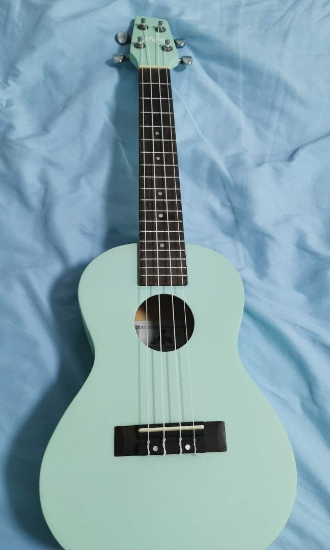 Tiffany Blue Shaka Ukulele, Hobbies & Toys, Music & Media, Musical ...