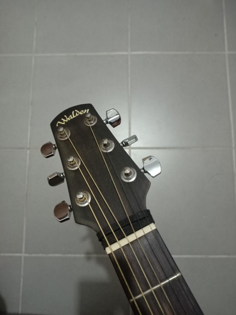 Walden Natura D570 Acoustic Guitar, Hobbies & Toys, Music & Media ...