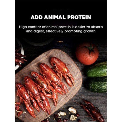 YEE KOI Food, Triple-Effect Fish Food Pellet, KOI Fish Grain To Provide ...