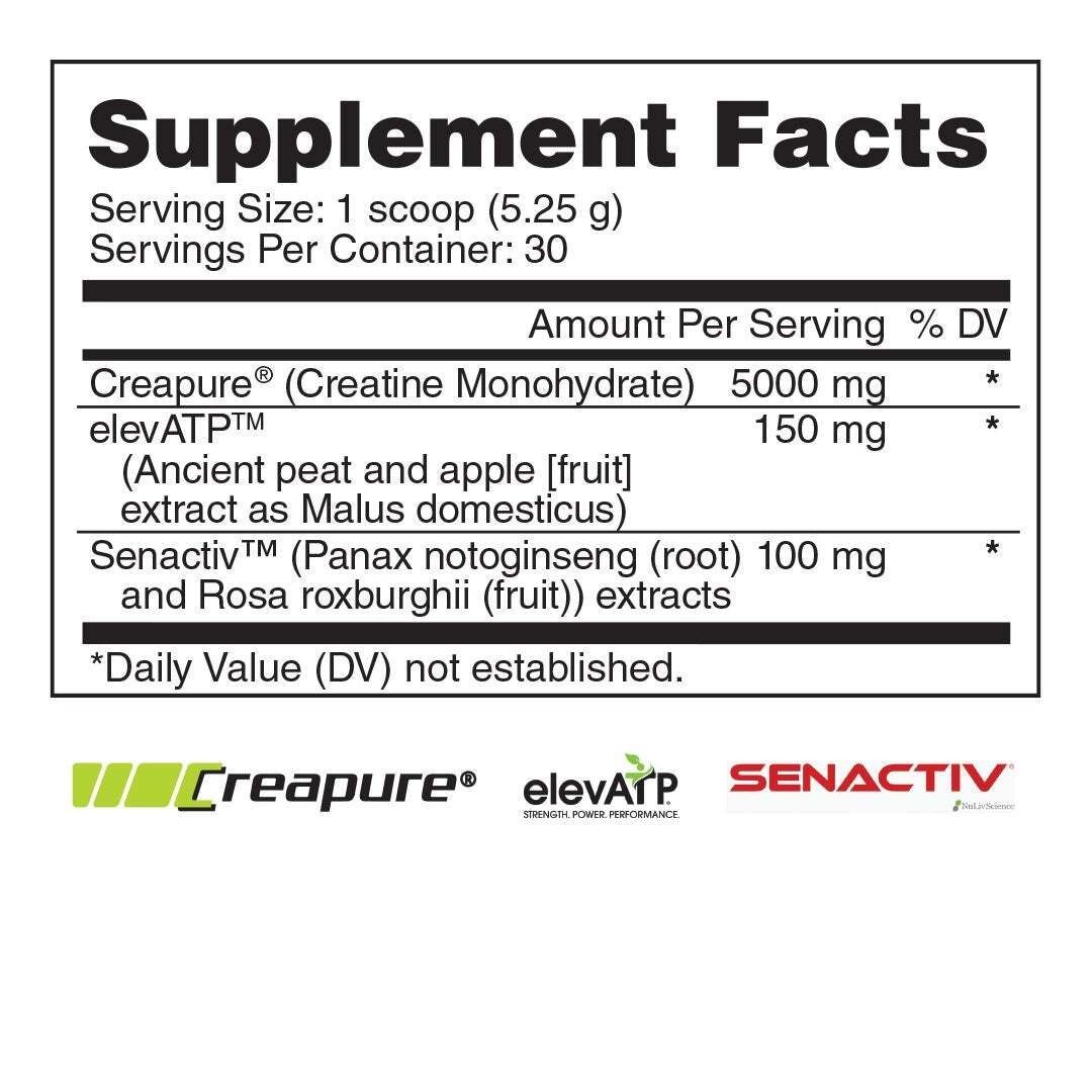 APOLLON NUTRITION CREATINE X WITH ELEVATP (30 SERVINGS CREAPURE ...