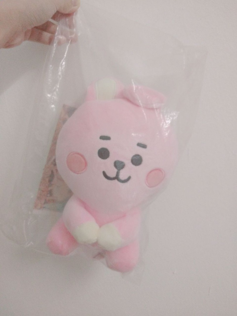 BT21 Character - Cooky, Hobbies & Toys, Toys & Games on Carousell