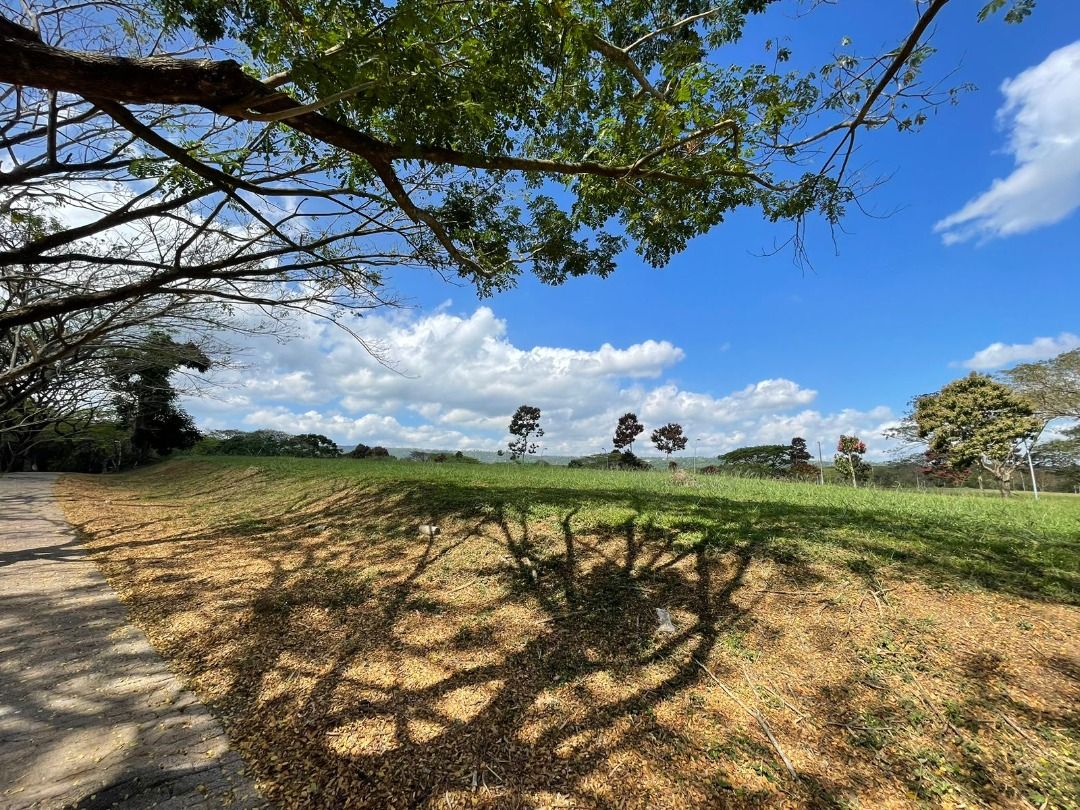 **buyer only** Elaro, Tranche 2, Nuvali 647sqm lot With view of the ...