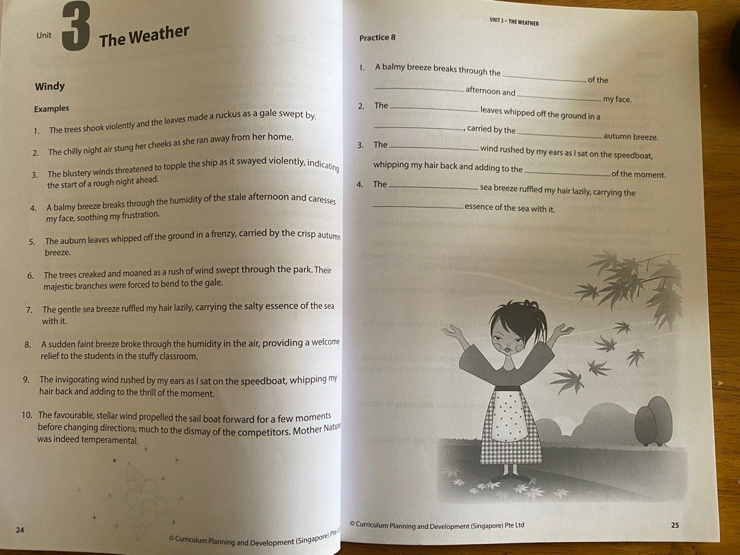 English compo p5 p6, Hobbies & Toys, Books & Magazines, Assessment ...