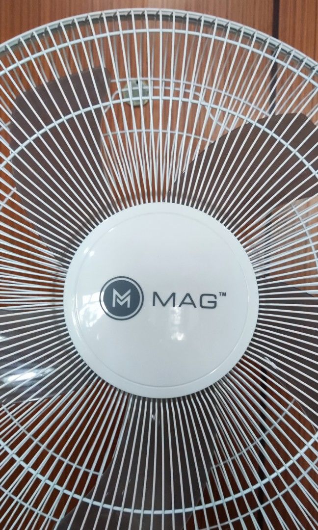 Mag 16" stand fan, Furniture & Home Living, Lighting & Fans, Fans on ...