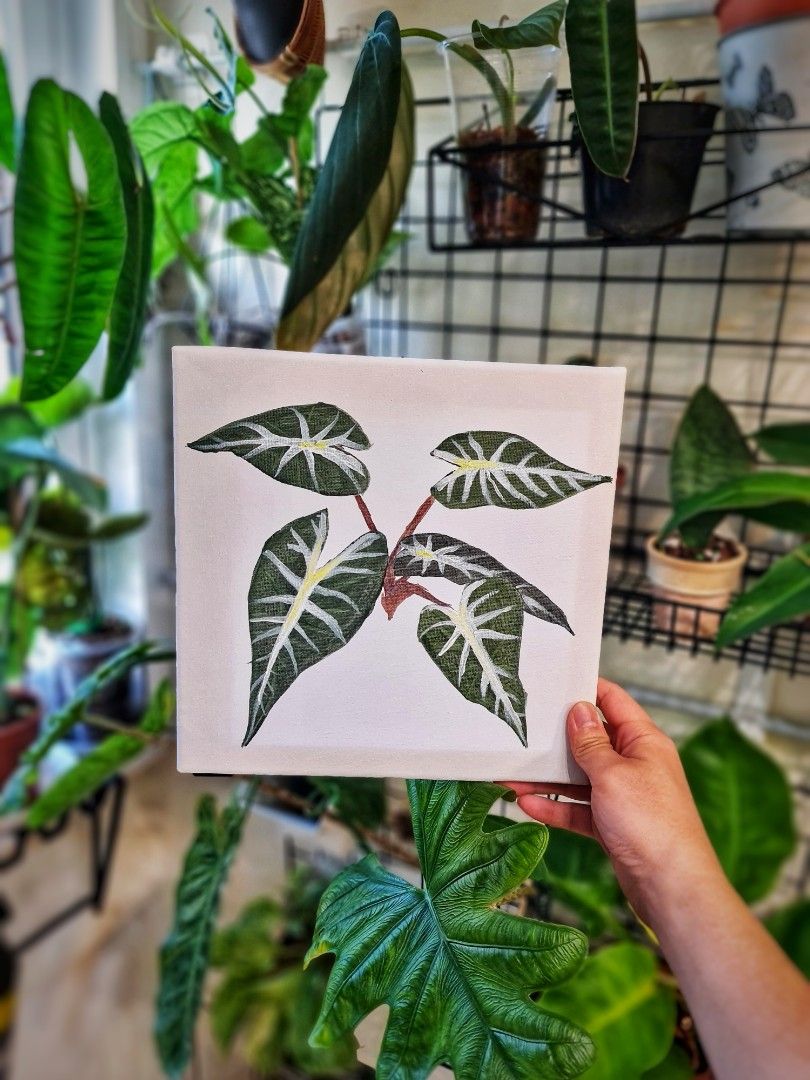 Painting for aroid plants, foliage plants painting, Furniture & Home ...