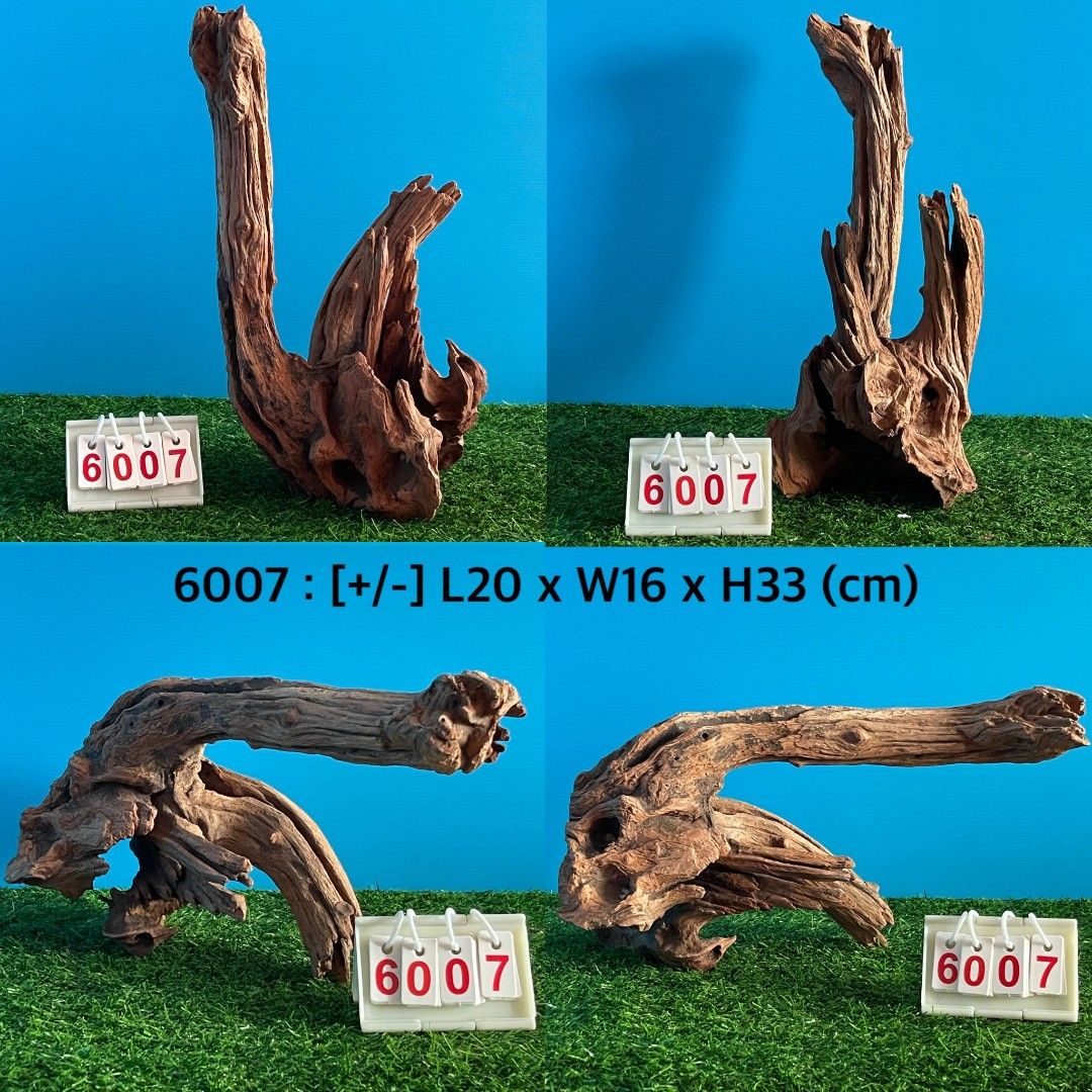 Premium Teak Driftwood Large 1 for Fish Tank Aquarium Aquascaping, Pet ...