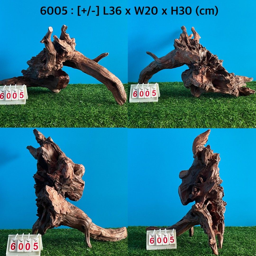 Premium Teak Driftwood Large 1 for Fish Tank Aquarium Aquascaping, Pet ...