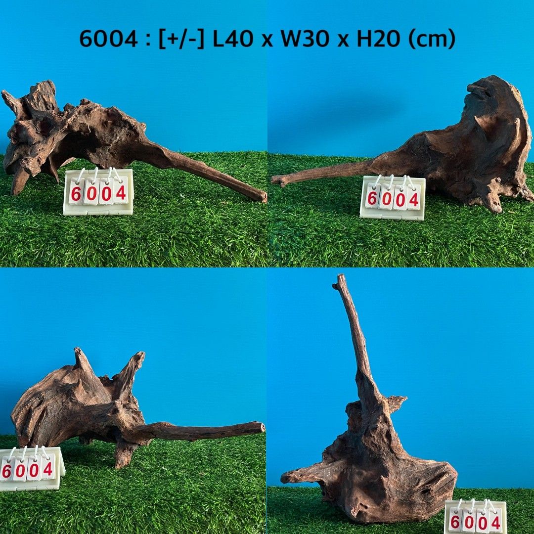 Premium Teak Driftwood Large 1 for Fish Tank Aquarium Aquascaping, Pet ...