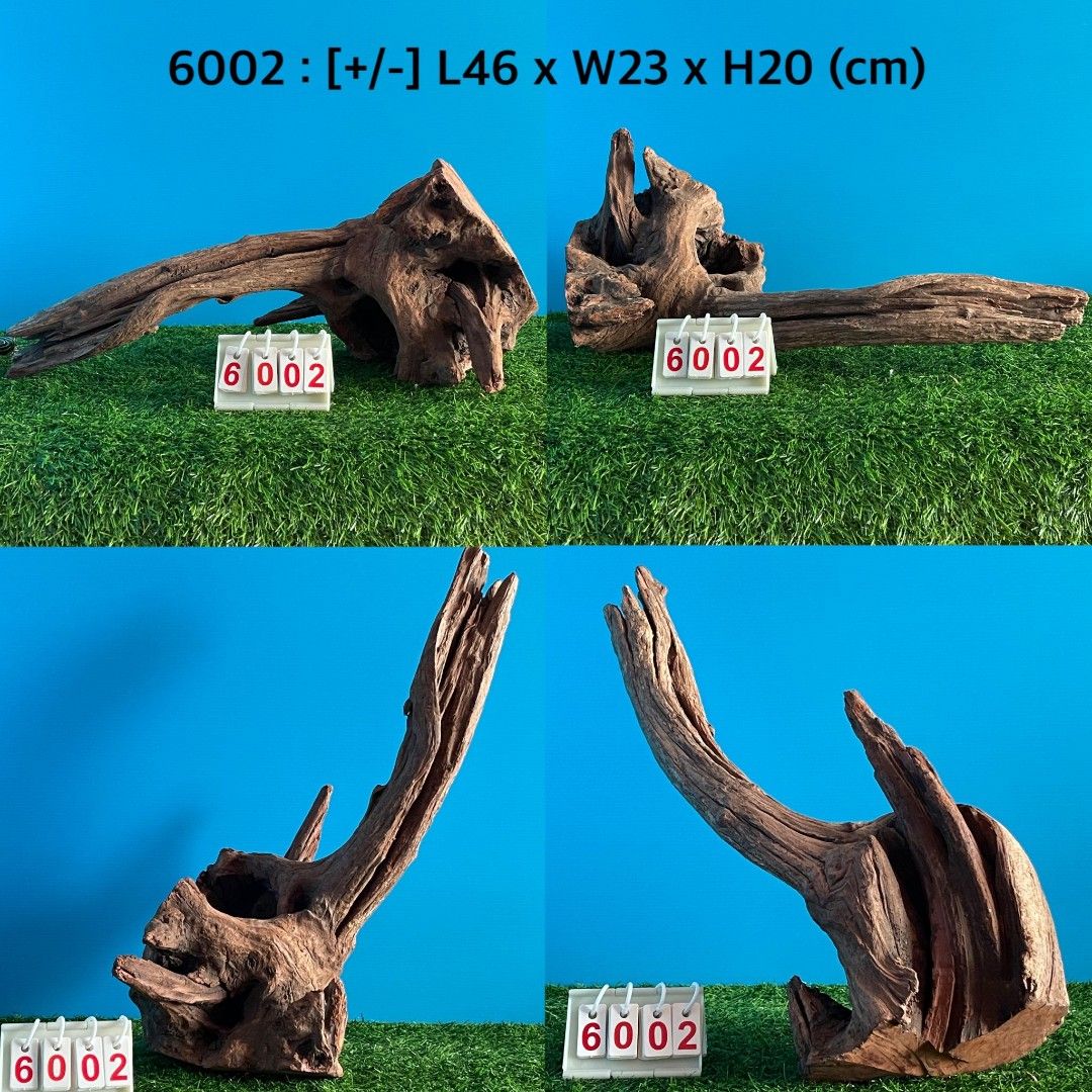 Premium Teak Driftwood Large 1 for Fish Tank Aquarium Aquascaping, Pet ...