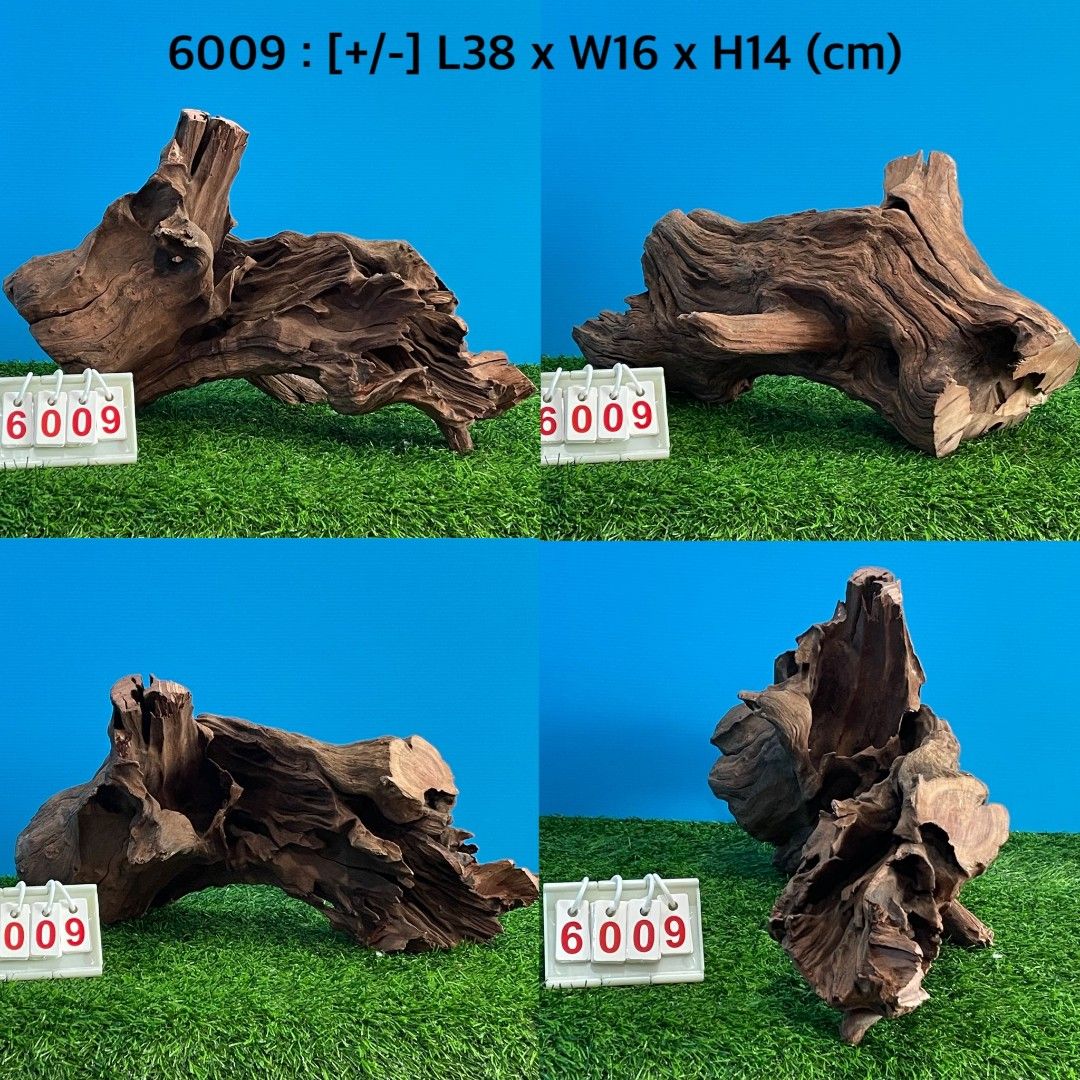 Premium Teak Driftwood Large 1 for Fish Tank Aquarium Aquascaping, Pet ...