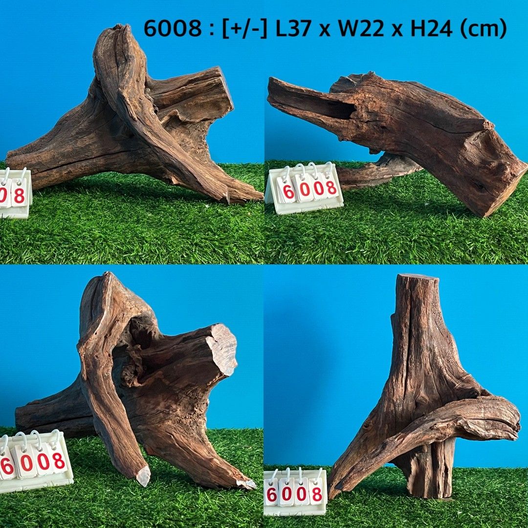 Premium Teak Driftwood Large 1 for Fish Tank Aquarium Aquascaping, Pet ...