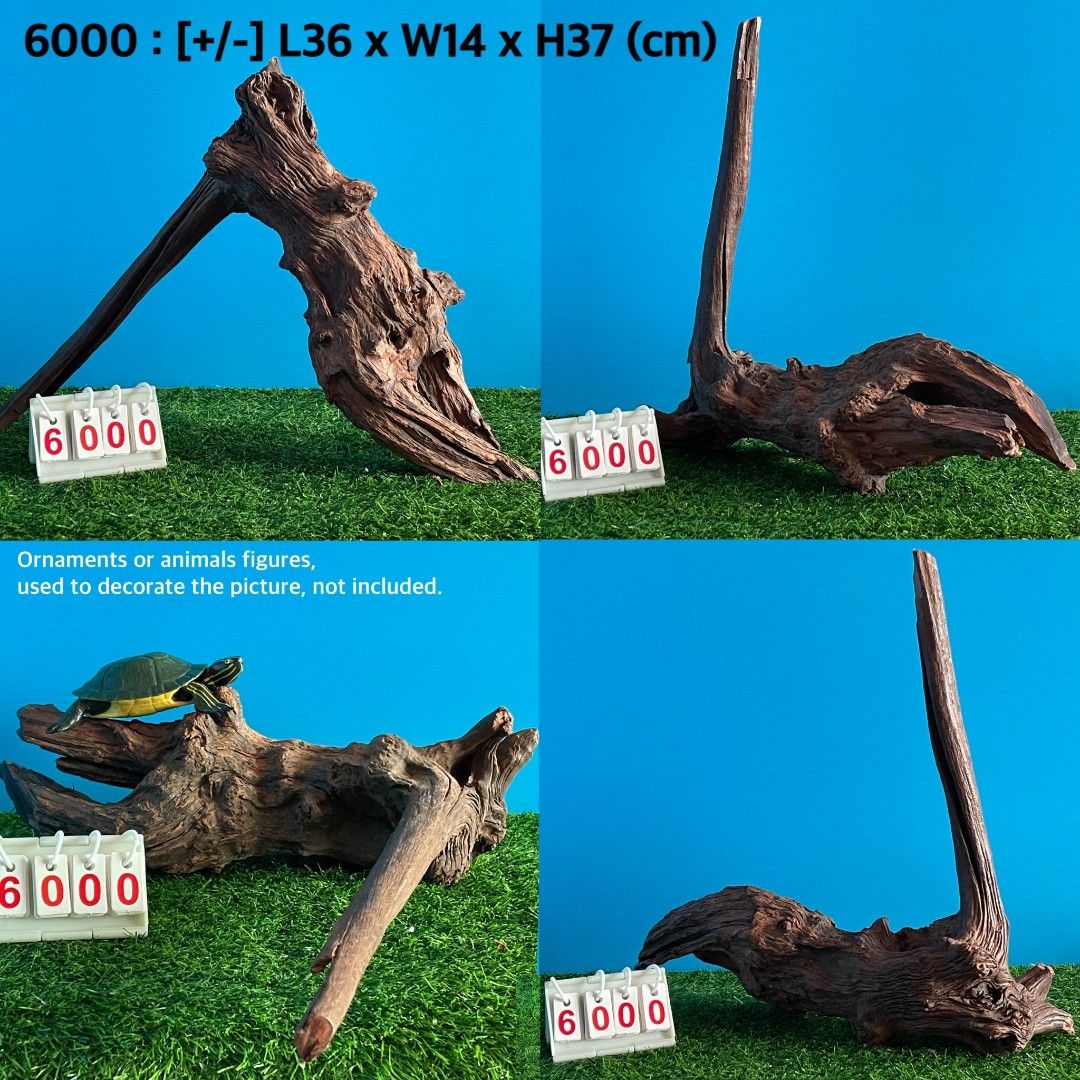 Premium Teak Driftwood Large 1 for Fish Tank Aquarium Aquascaping, Pet ...