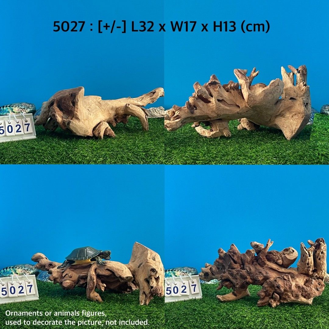 Premium Teak Driftwood Medium 3 for Aquarium Aquascaping, Pet Supplies ...