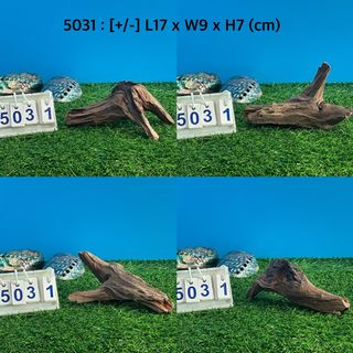 Premium Teak Driftwood Medium 5 for Aquarium Aquascaping, Pet Supplies ...