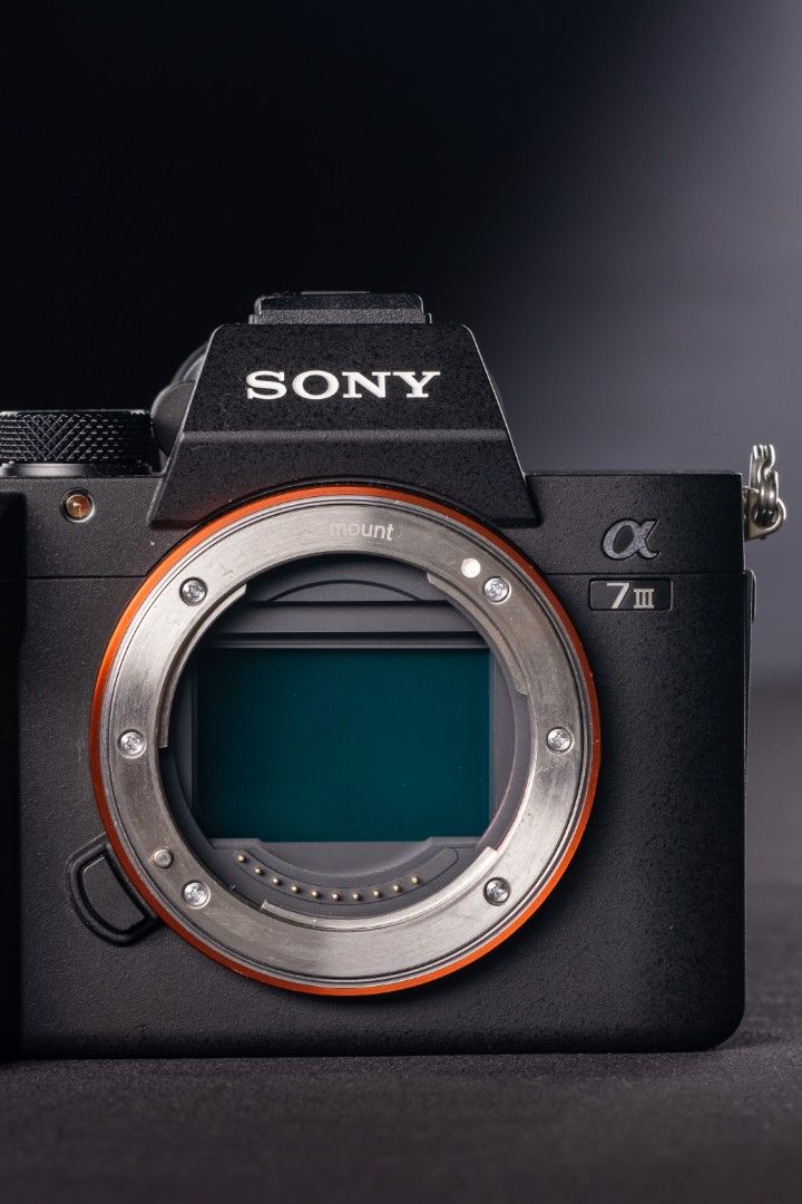 Sony A7III Body Only, Photography, Cameras on Carousell