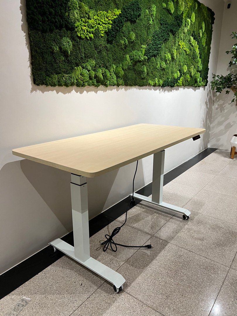 Stance Executive Dual Motor Standing Desk, Furniture & Home Living ...